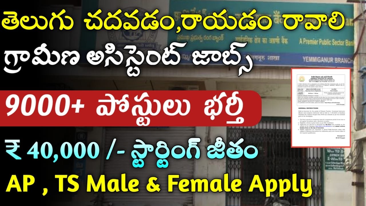 9000 గ్రామీణ అసిస్టెంట్ ఉద్యోగాలు | IBPS RRB Recruitment 2024 | Latest ... 9000 గ్రామీణ అసిస్టెంట్ ఉద్యోగాలు | IBPS RRB Recruitment 2024 | Latest ...
