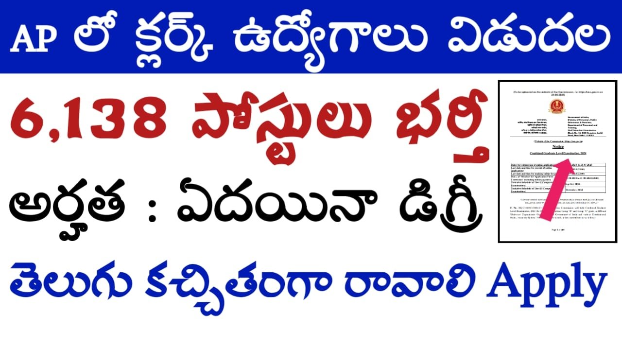 IBPS 6,128 పోస్టులు భర్తీ | IBPS Recruitment 2024 | Latest Govt Jobs Update IBPS 6,128 పోస్టులు భర్తీ | IBPS Recruitment 2024 | Latest Govt Jobs Update
